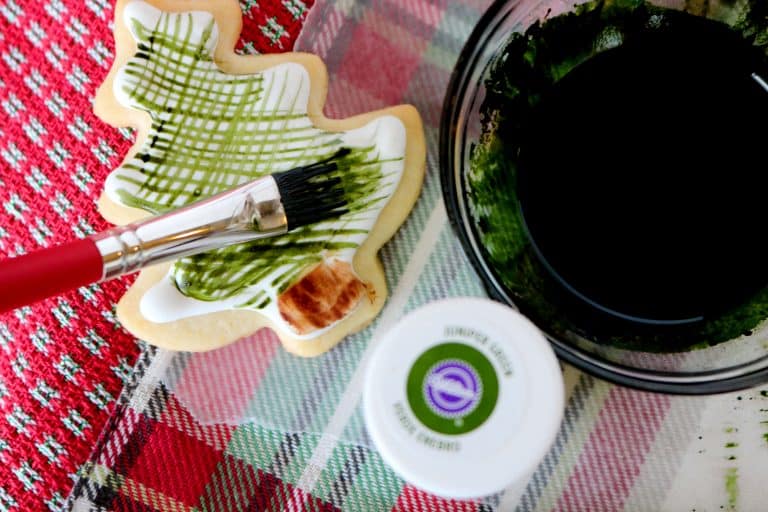 Painted Cookies | Painting Cookies Made Simple - The Anthony Kitchen