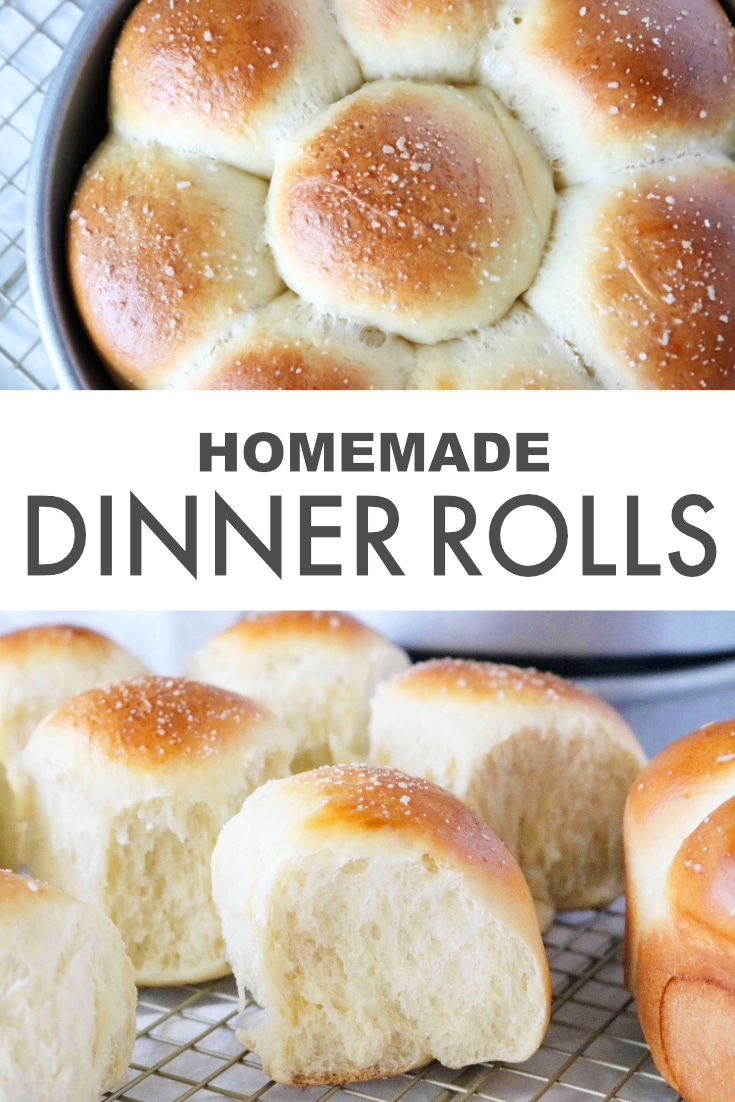 Easy Yeast Rolls (Great for Beginners!)