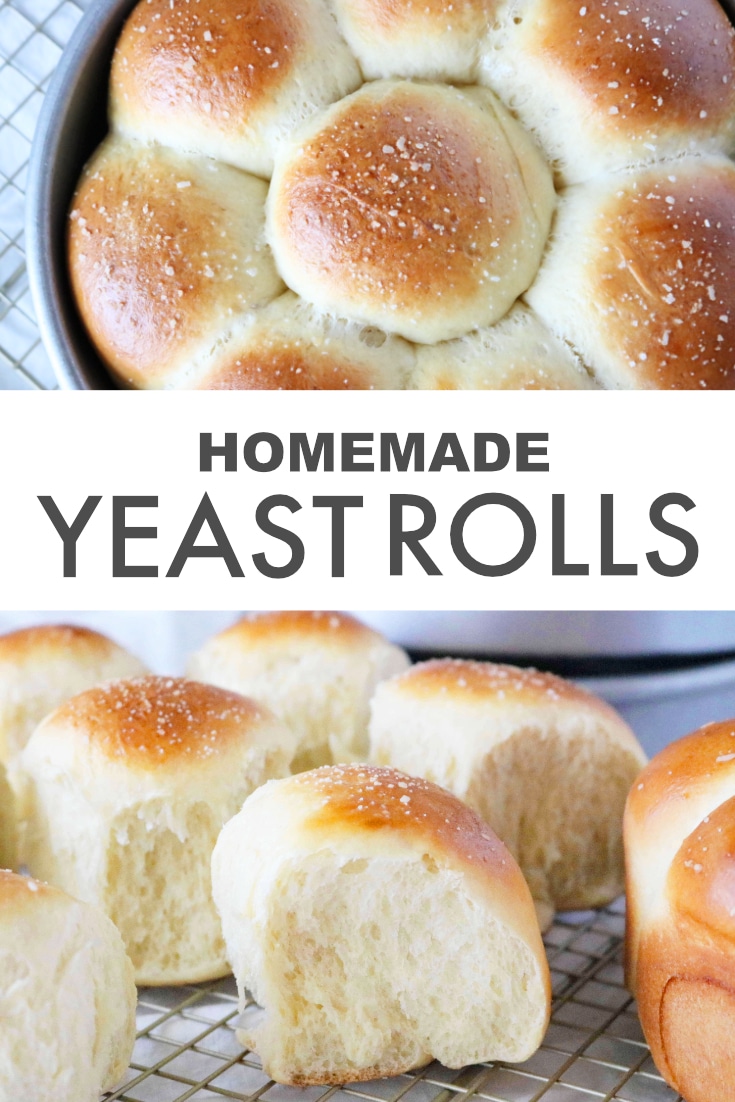 Easy Yeast Rolls (Great for Beginners!)