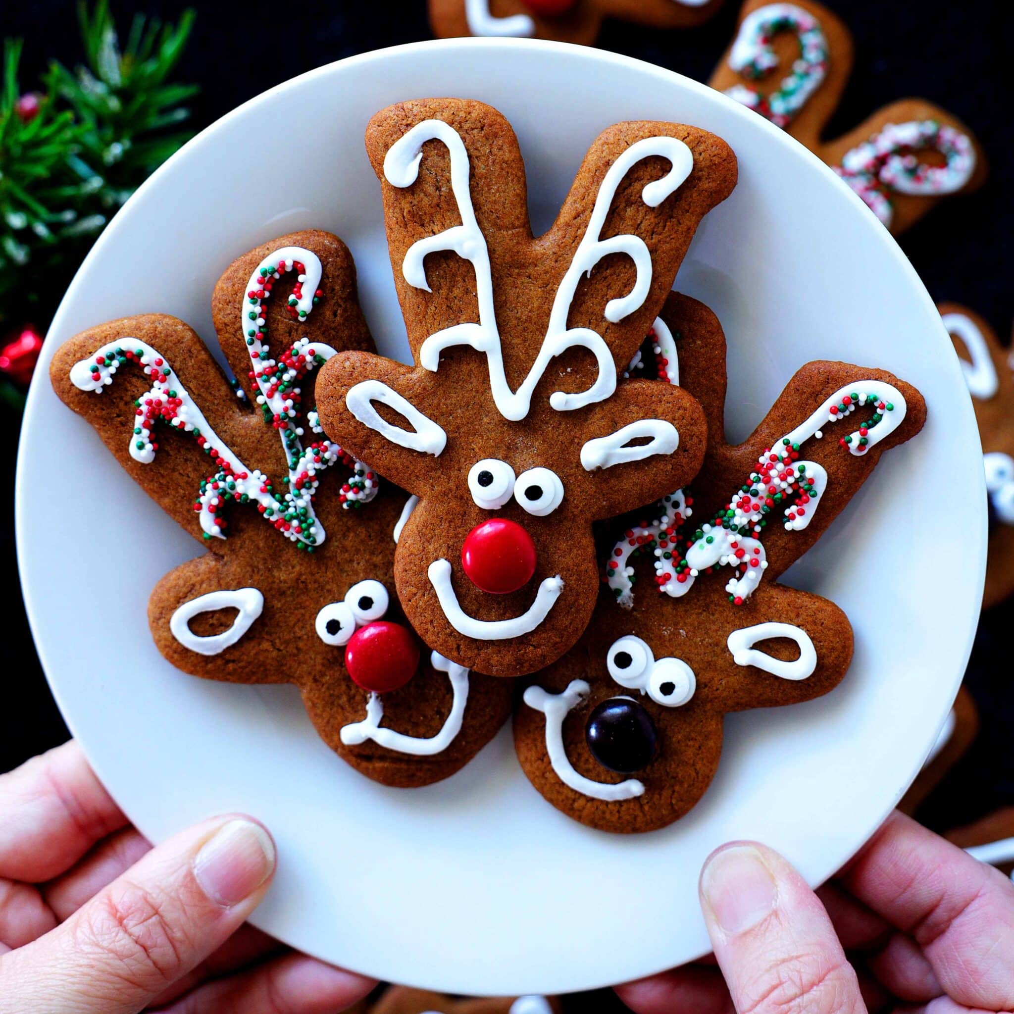 Cutest Reindeer Cookies EVER! - The Anthony Kitchen