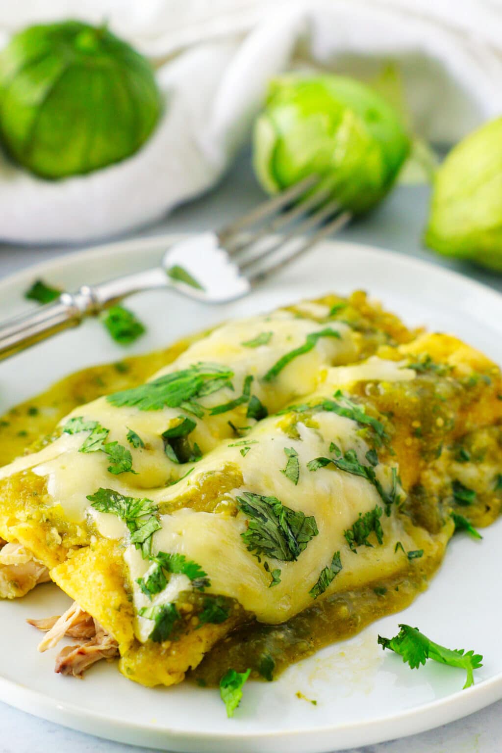 13 Authentic Enchilada Recipes (Easy Options for Every Occasion!)