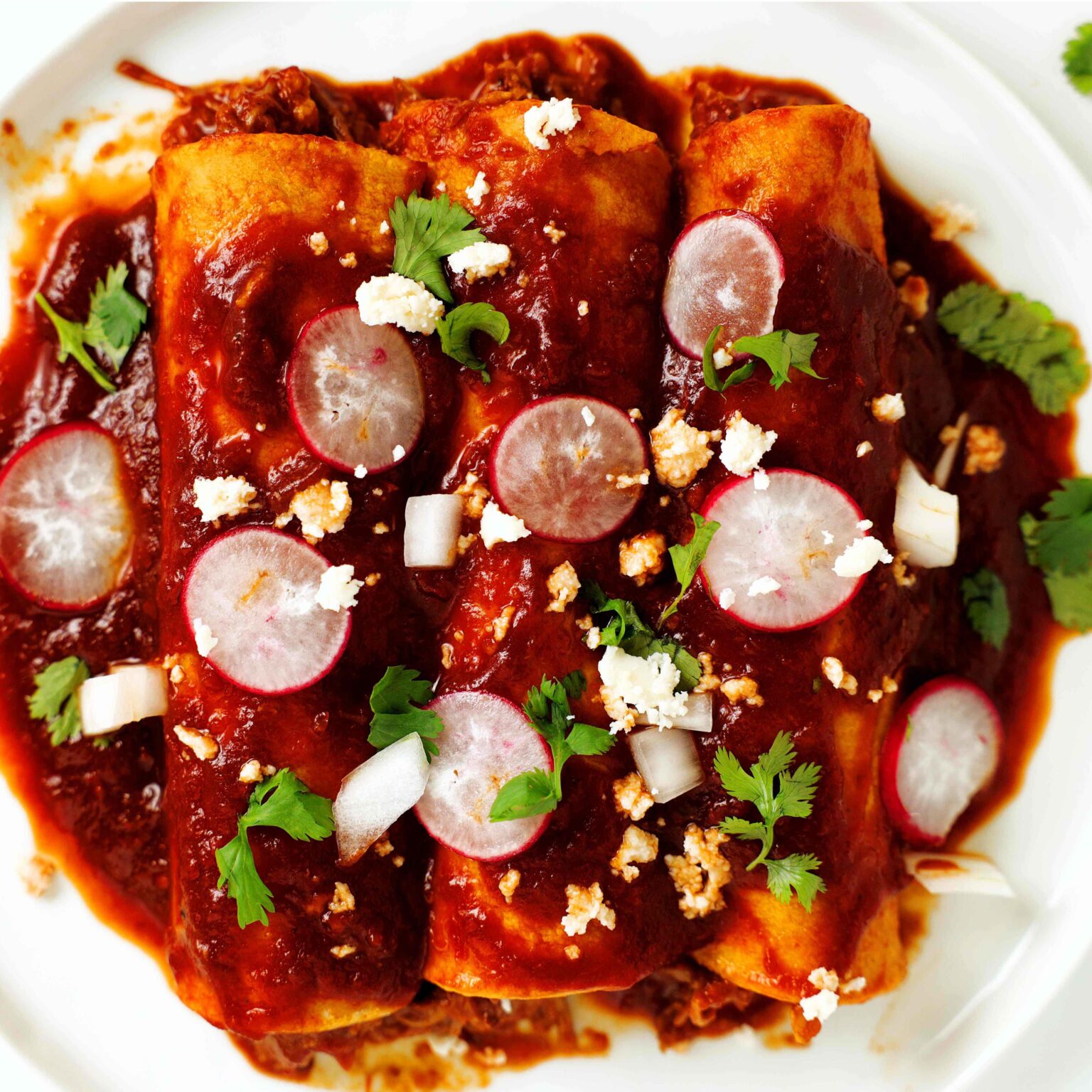 Beef Enchiladas - Easy Tex-Mex Comfort Food! - The Anthony Kitchen