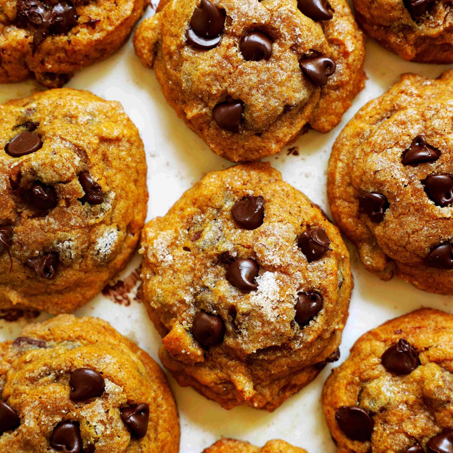 Pumpkin Chocolate Chip Cookies (Chewy, Not Cakey) - The Anthony Kitchen