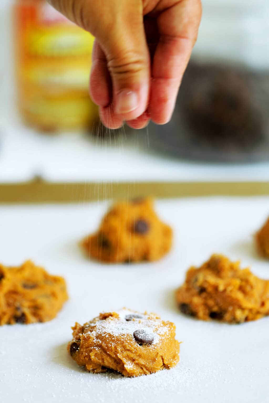 Pumpkin Chocolate Chip Cookies (Chewy, Not Cakey) - The Anthony Kitchen