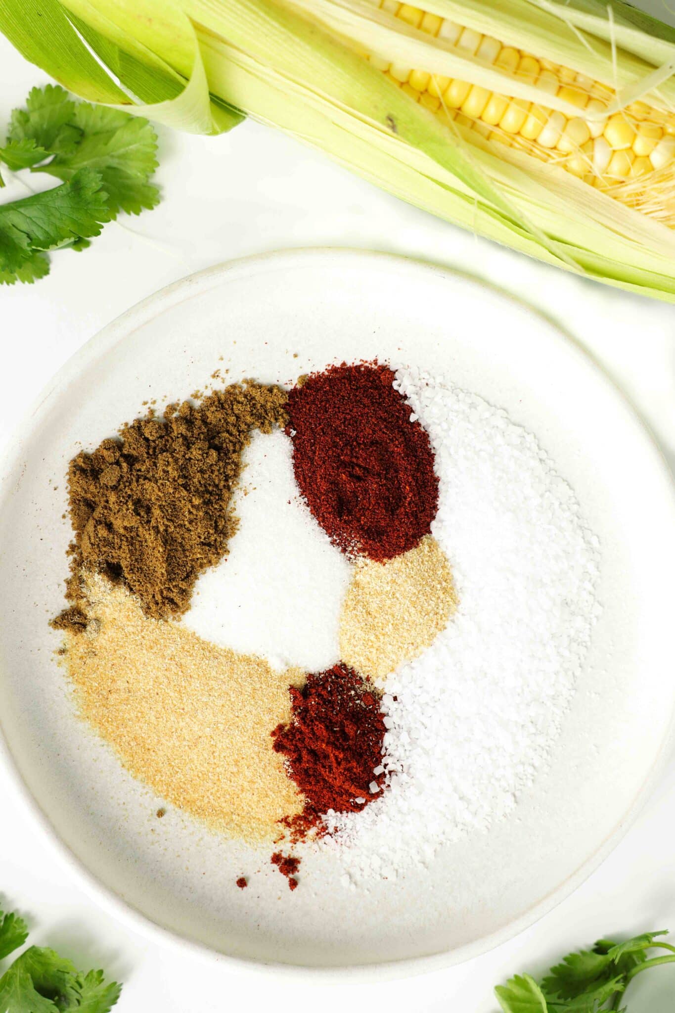 Elote Seasoning Recipe (Better than Trader Joe's) - The Anthony Kitchen